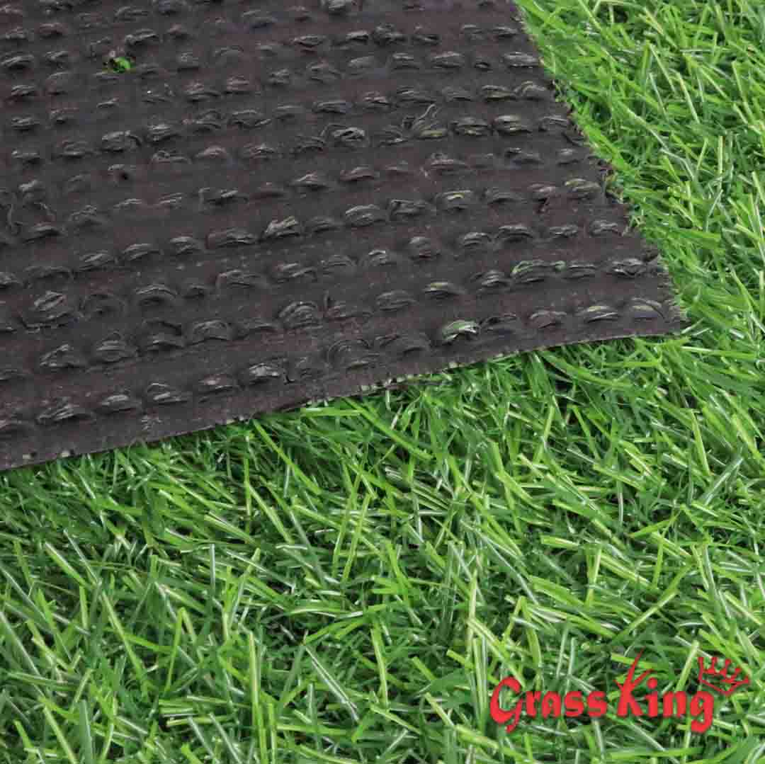 Amazing Carpet Grass [2M Width] | Greenvibe 20 - 559